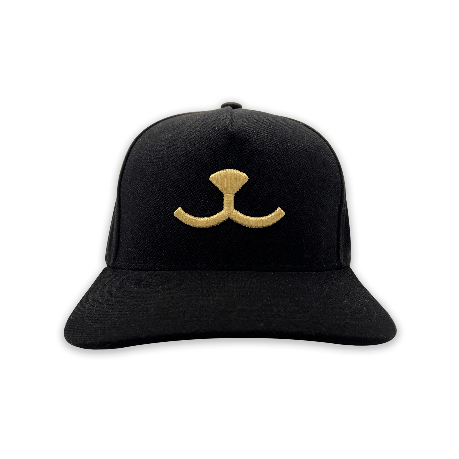 Boné Preto Bordado Dourado Propetz - Propetz